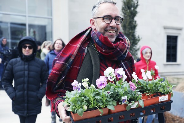 The Pansy Project