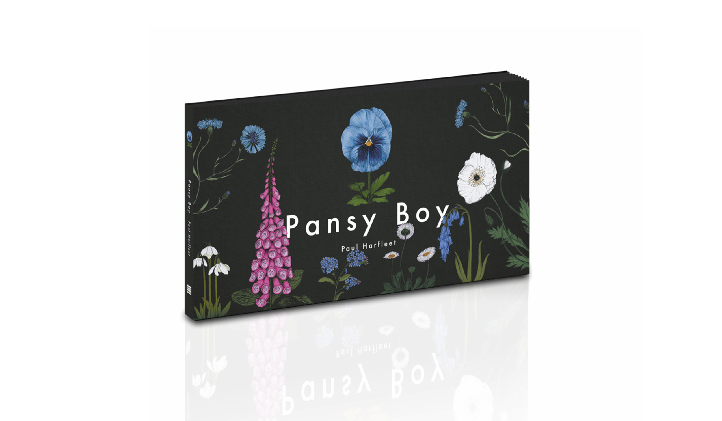 Pansy Boy - The Pansy Project